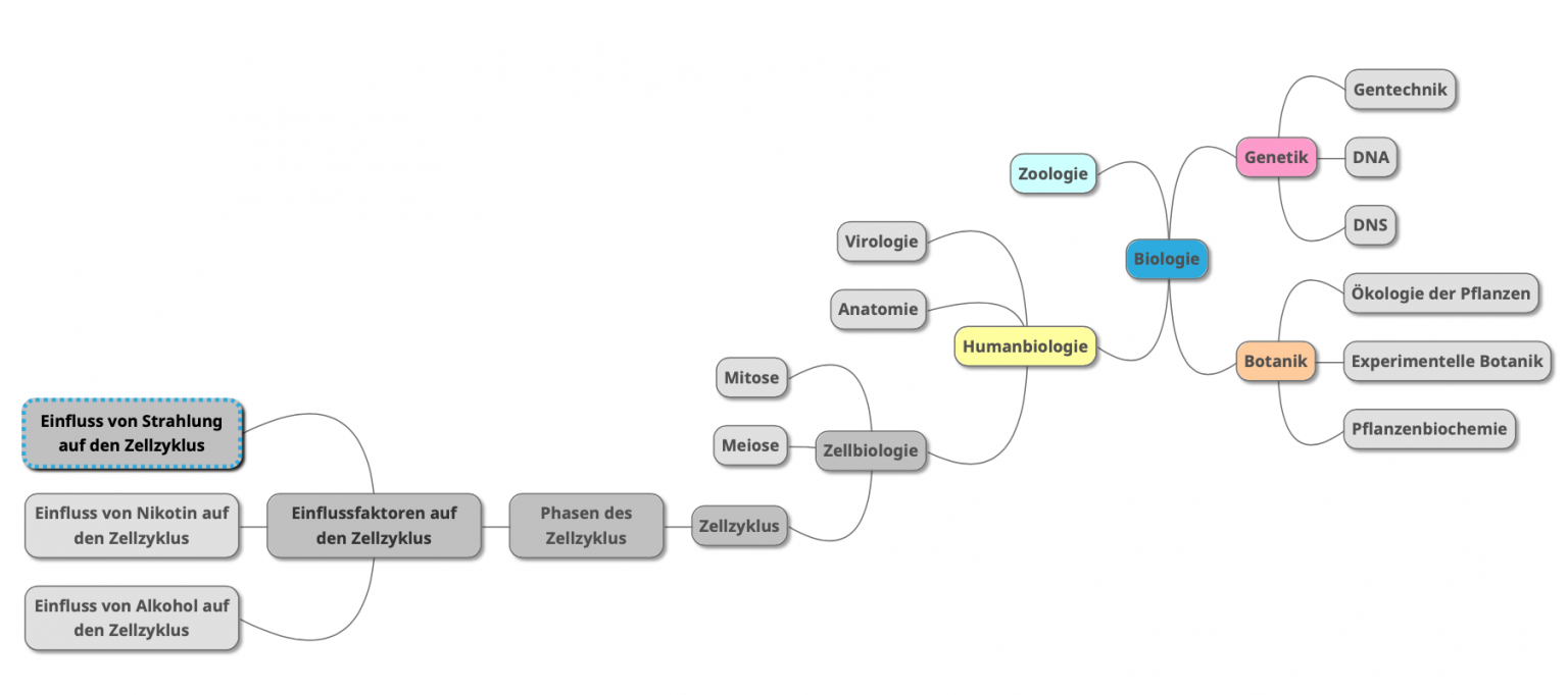 Erfolgreich studieren: Lernmethoden und Lerntipps